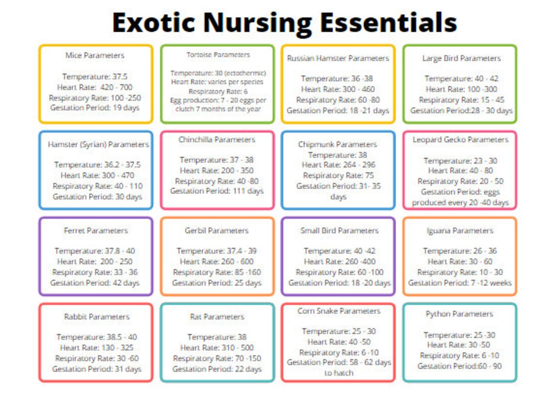 Exotic Nursing Essentials Poster - A4 - Etsy