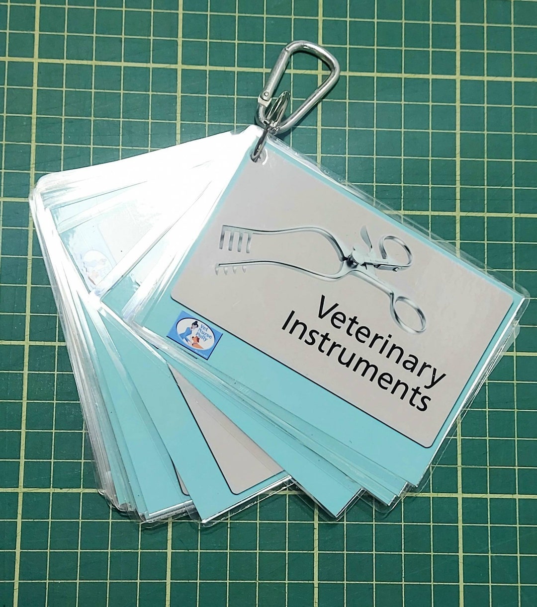 Veterinary Nursing Instruments Flash Cards - Etsy
