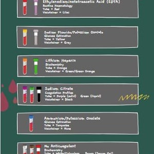 Veterinary Blood Tubes Digital Poster Veterinary Nurse - Etsy