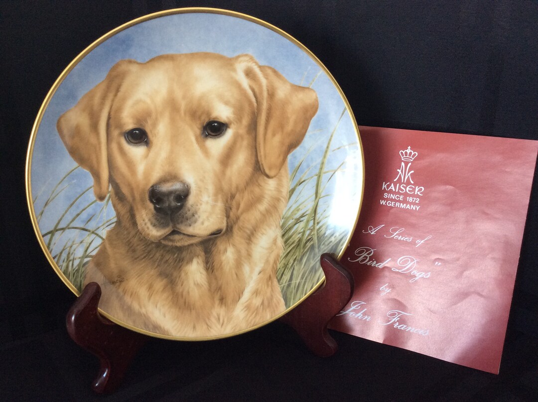 John Francis Golden Labrador Kaiser Porcelain Plate - Etsy