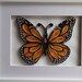 Quilled Paper Art- Monarch Butterfly- Gift- Anniversary- Birthday ...