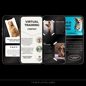 Dog Training Social Media, Dog Training Template, Dog Trainer, Dog ...