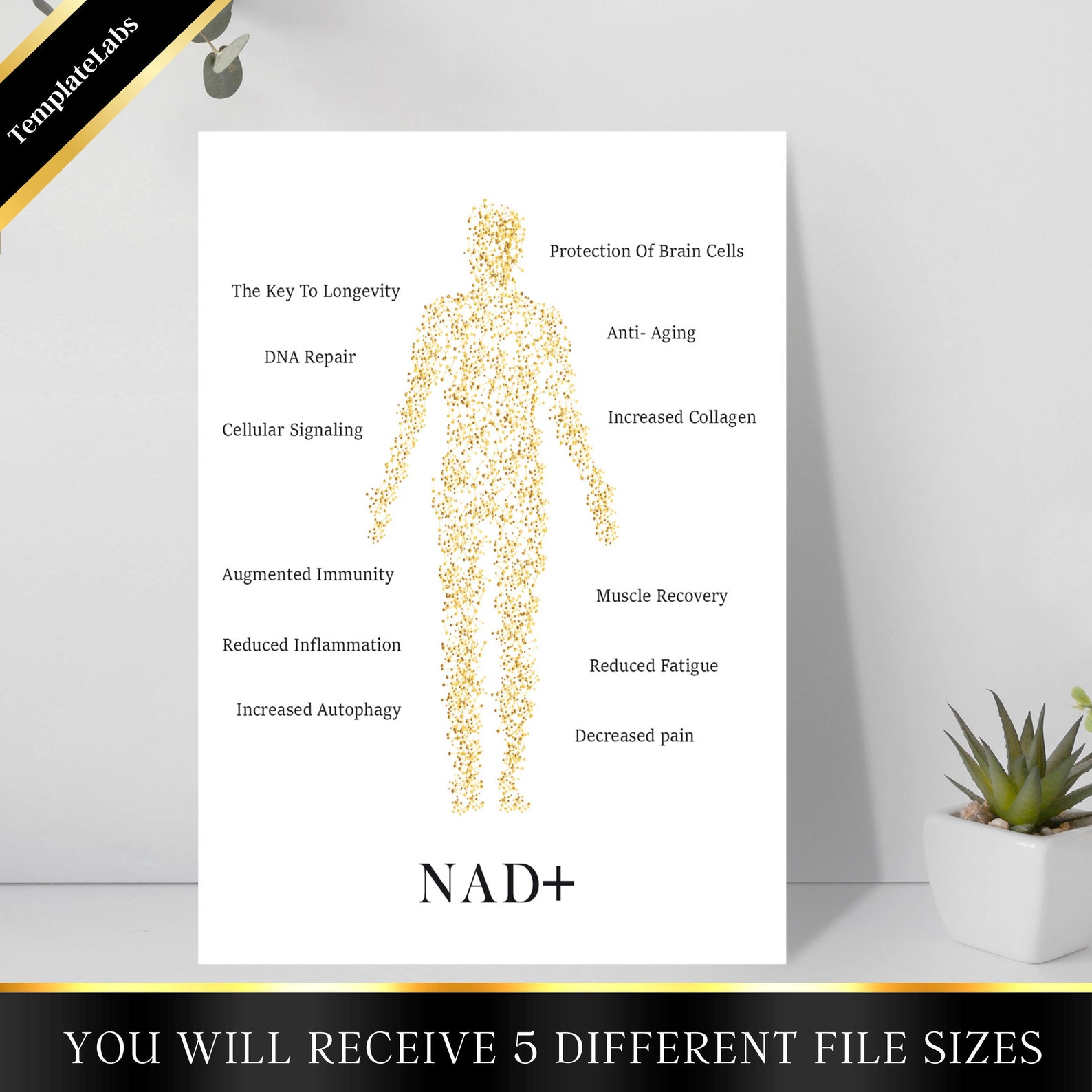 IV Therapy Poster, IV Hydration Poster, IV Infusion, Iv Drip Therapy ...