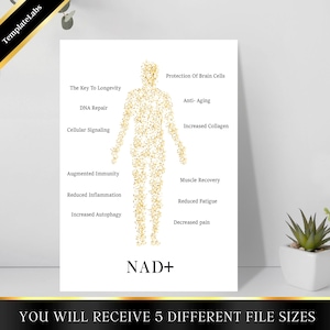 IV Therapy Poster, IV Hydration Poster, IV Infusion, Iv Drip Therapy ...