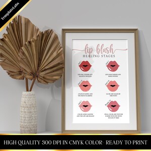 Lip Blush Healing Poster, Lip Blush Poster, PMU Decor, Permanent Makeup ...