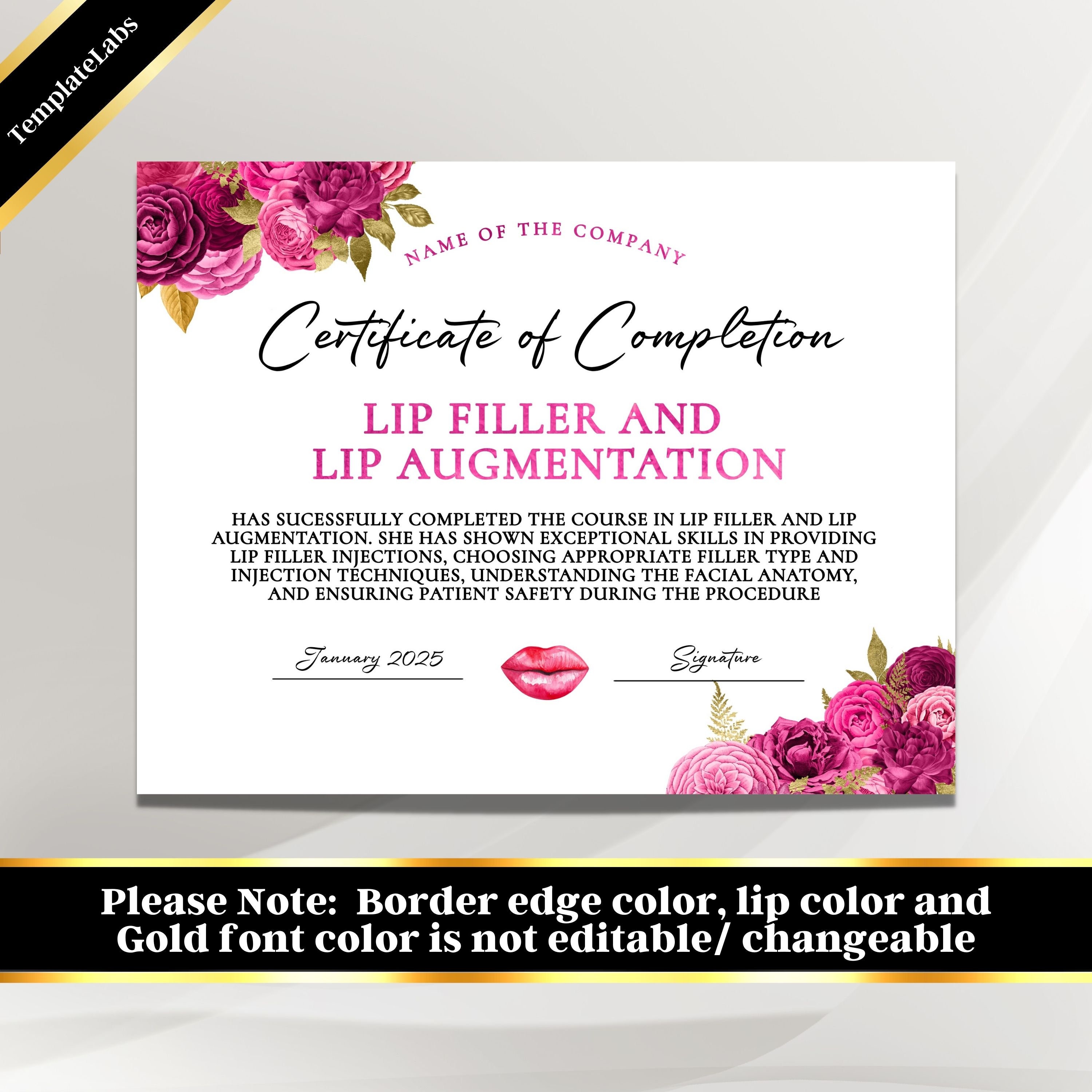 Lip Filler Certificate, Injector Nurse, Lip Filler Template, Printable ...