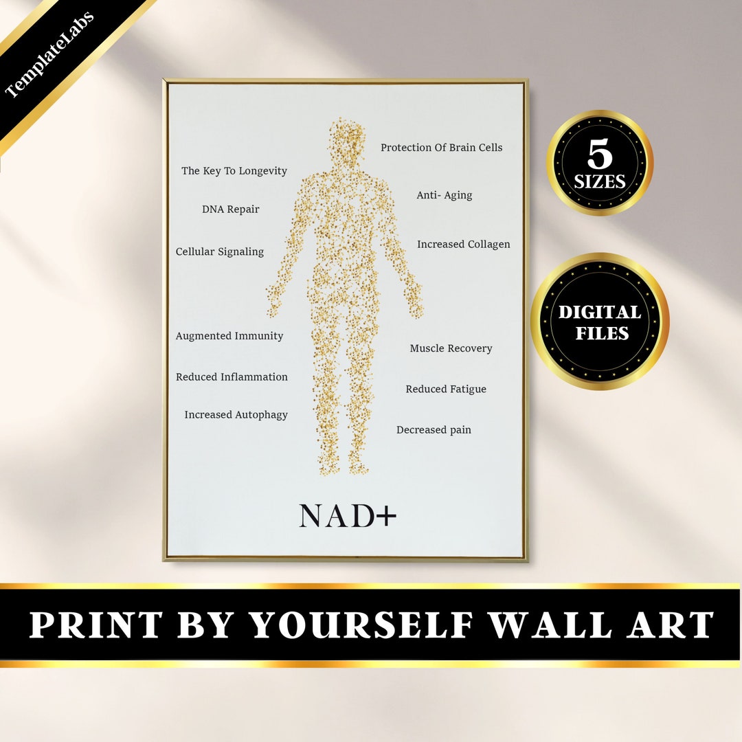 IV Therapy Poster, IV Hydration Poster, IV Infusion, Iv Drip Therapy ...