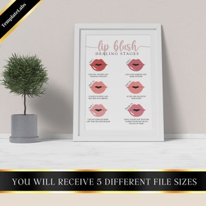 Lip Blush Healing Poster, Lip Blush Poster, PMU Decor, Permanent Makeup ...