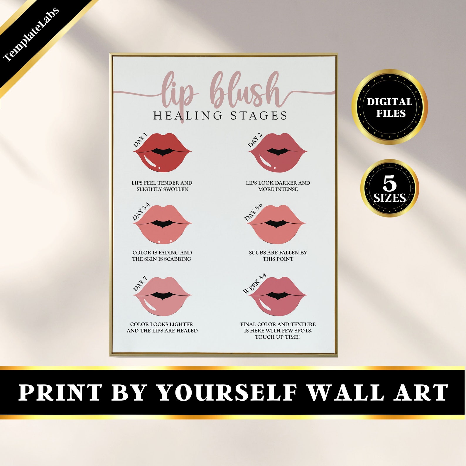 Lip Blush Healing Poster, Lip Blush Poster, PMU Decor, Permanent Makeup ...