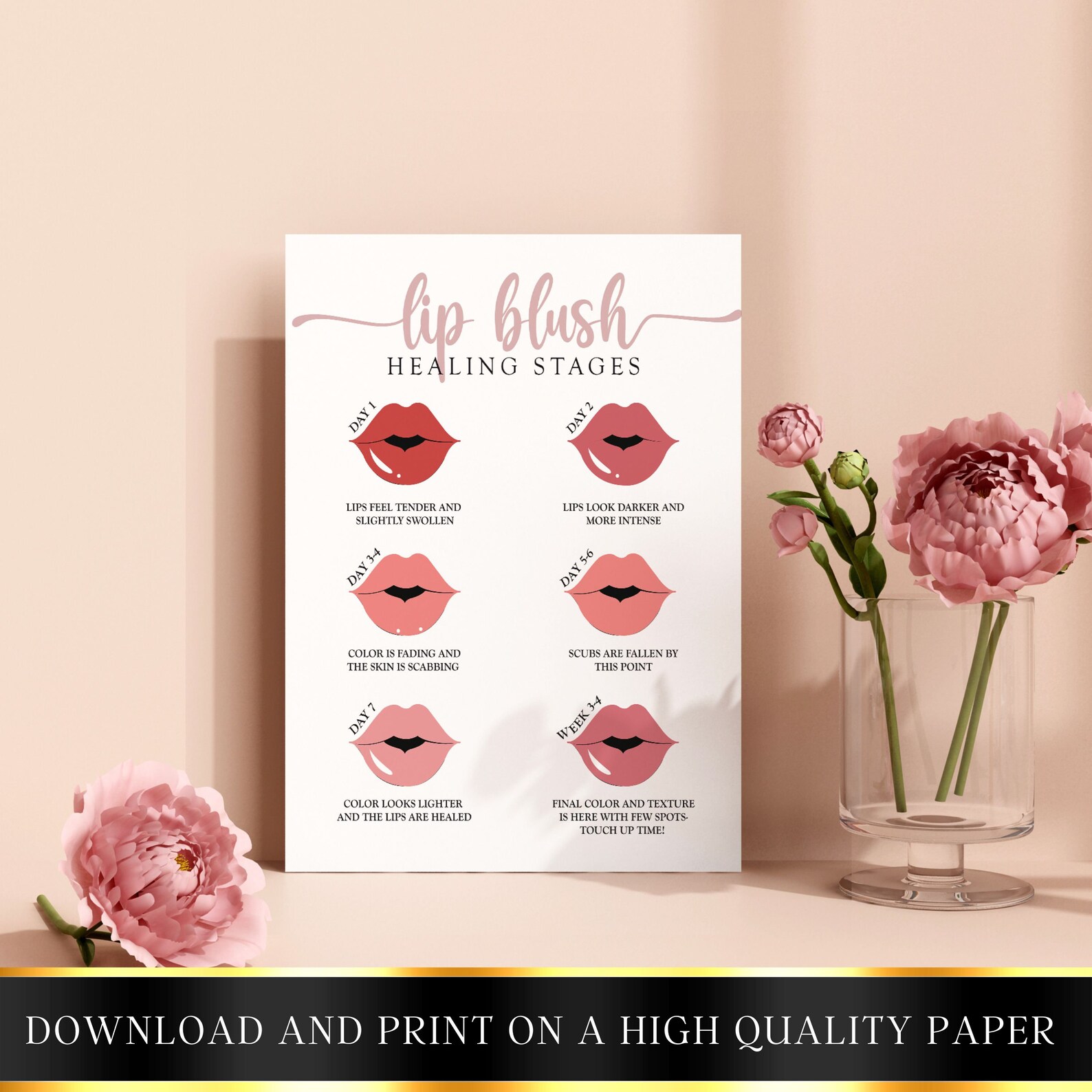 Lip Blush Healing Poster, Lip Blush Poster, PMU Decor, Permanent Makeup ...