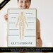 IV Therapy Poster, IV Hydration Poster, IV Infusion, Iv Drip Therapy ...