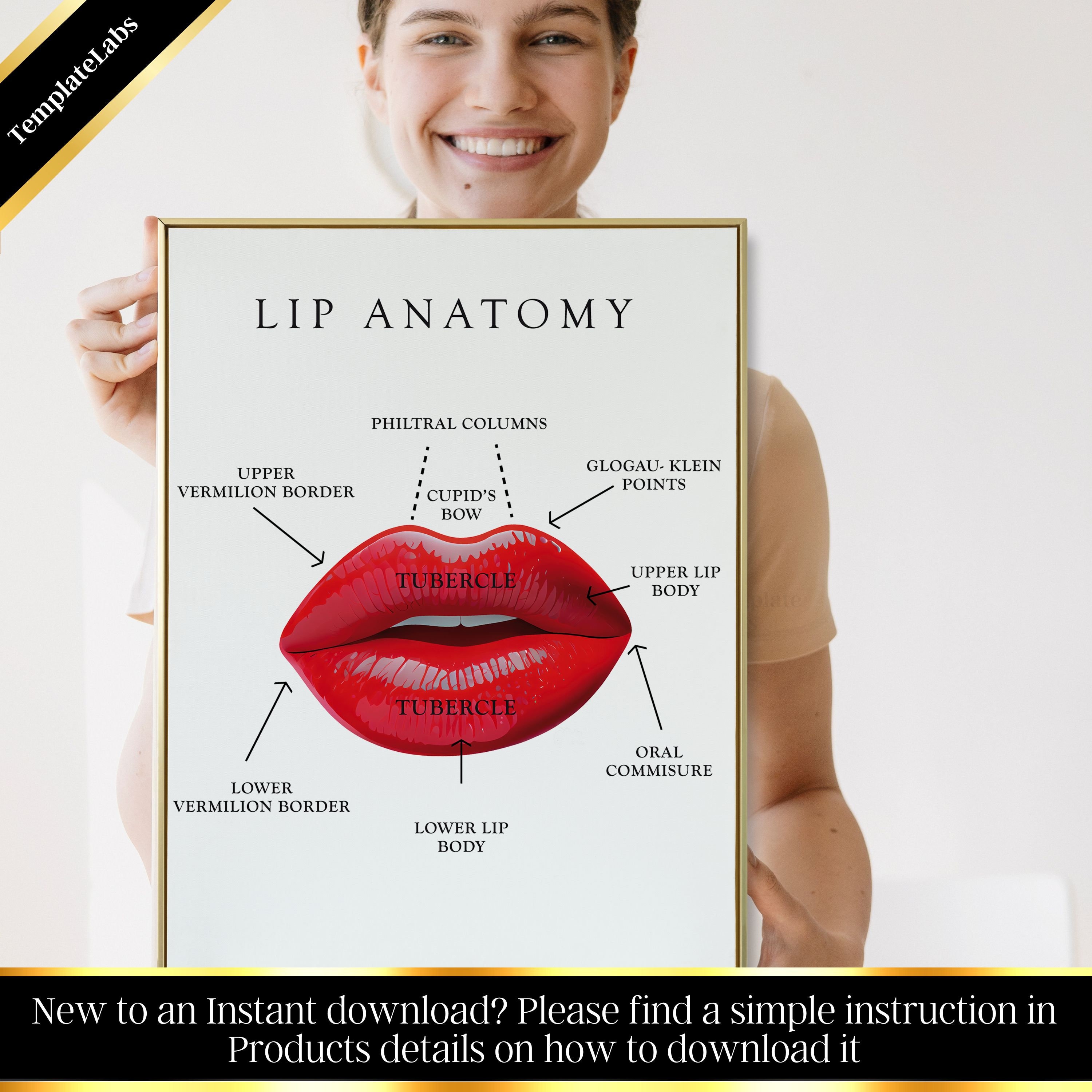 Lower Lip Anatomy