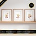 IV Therapy Poster, IV Hydration Poster, IV Infusion, Iv Drip Therapy ...