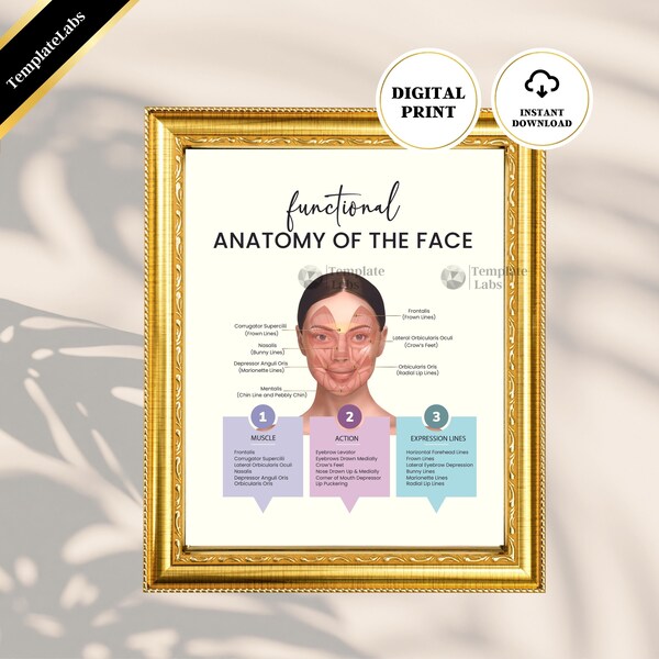Botox Face Chart - Etsy