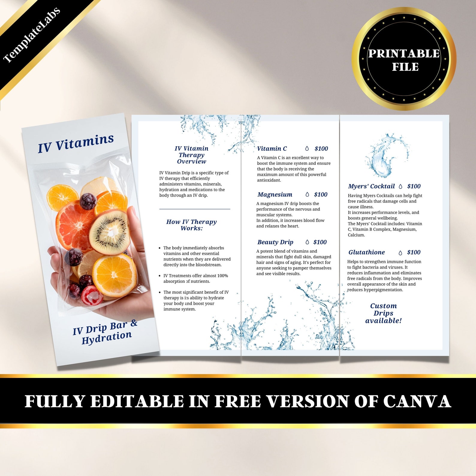 IV Vitamin Therapy Marketing, IV Drip Business, DIY Template, Iv ...