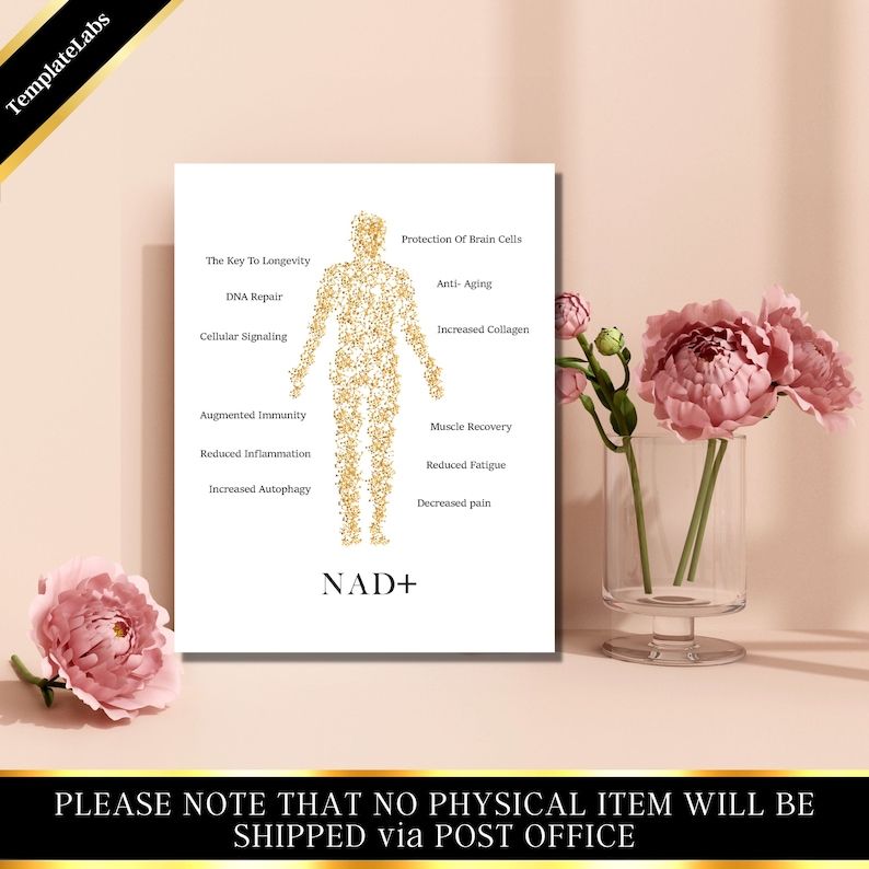 IV Therapy Poster IV Hydration Poster IV Infusion Iv Drip - Etsy