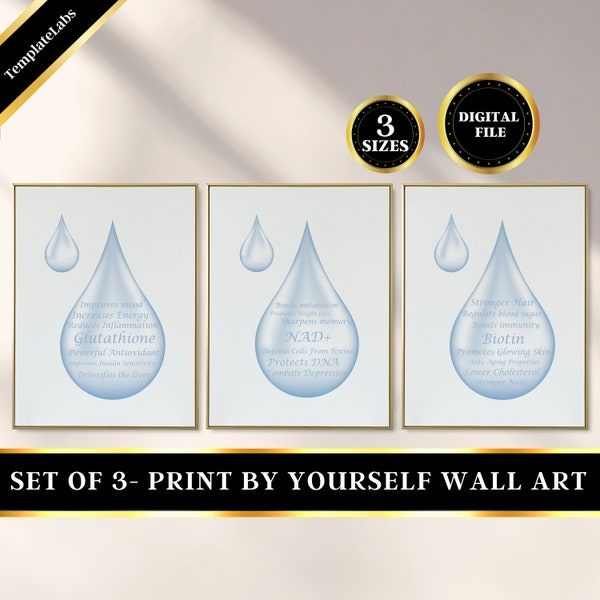 IV Hydration Template, IV Canva Template, Iv Therapy Menu, Iv Menu, DIY ...