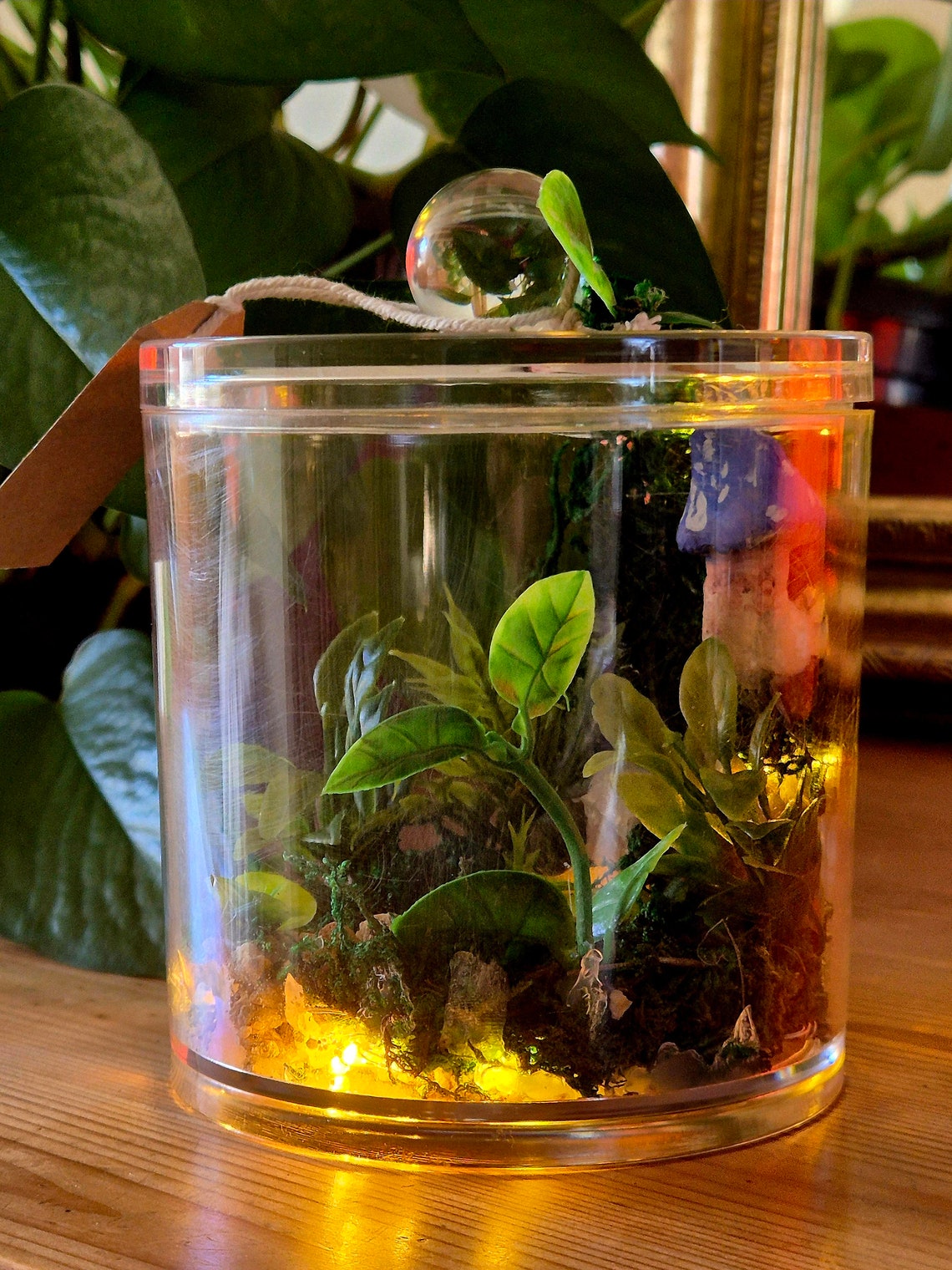 Cottagecore Fake Plant Moss and Mushroom Terrarium LED Lights Mini ...
