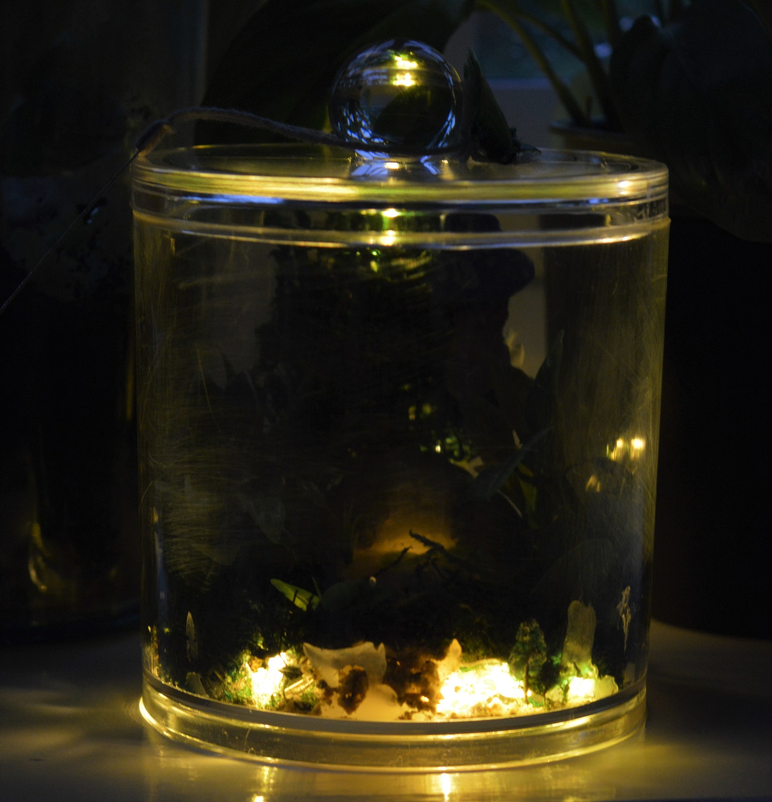 Cottagecore Fake Plant Moss and Mushroom Terrarium LED Lights Mini ...