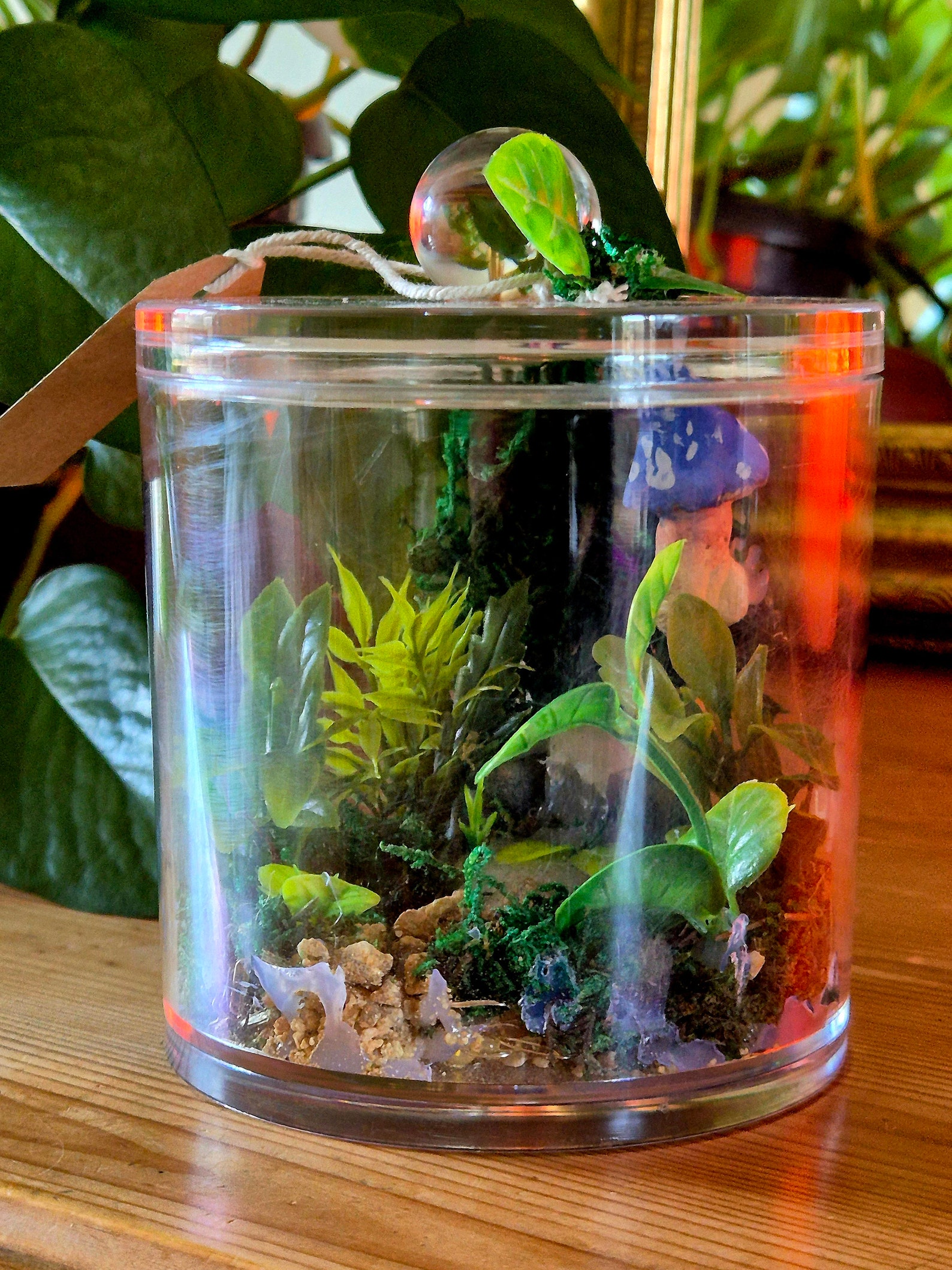 Cottagecore Fake Plant Moss and Mushroom Terrarium LED Lights Mini ...