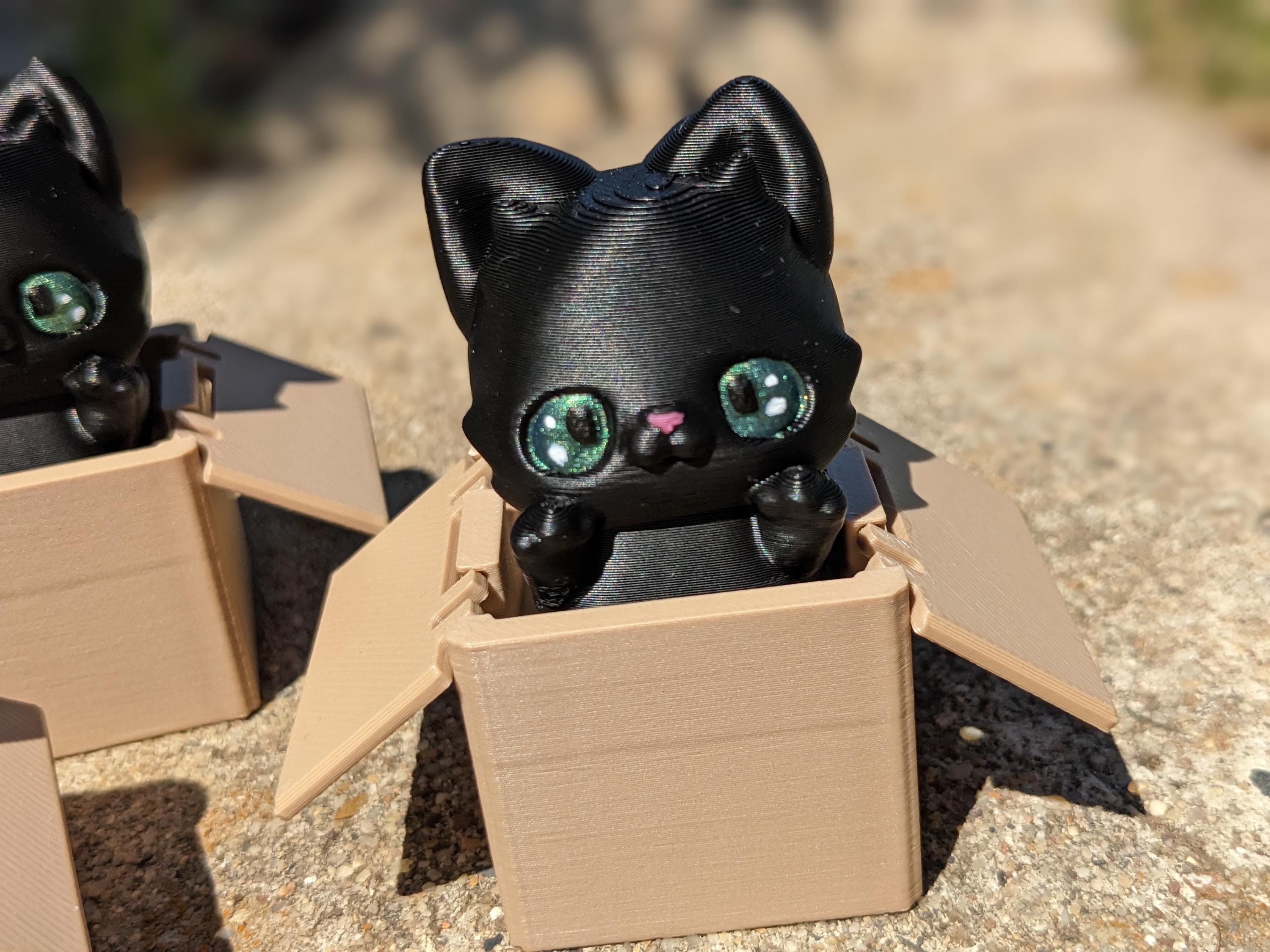 Cat in a Box Clicker - 3D Printed Clicking Fidget Toy - Etsy Australia