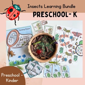 Insect PRESCHOOL Learning Pack, Spring Preschool Activities, Homeschool ...