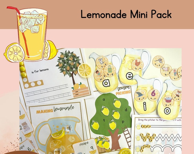 Forest Friends Preschool Learning Pack, Alphabet Activities, Montessori ...