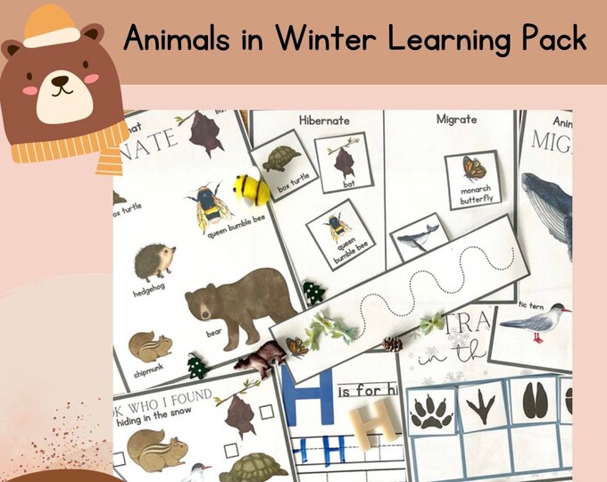 Winter Animals Learning Pack, Preschool Activities, Hibernation Unit ...