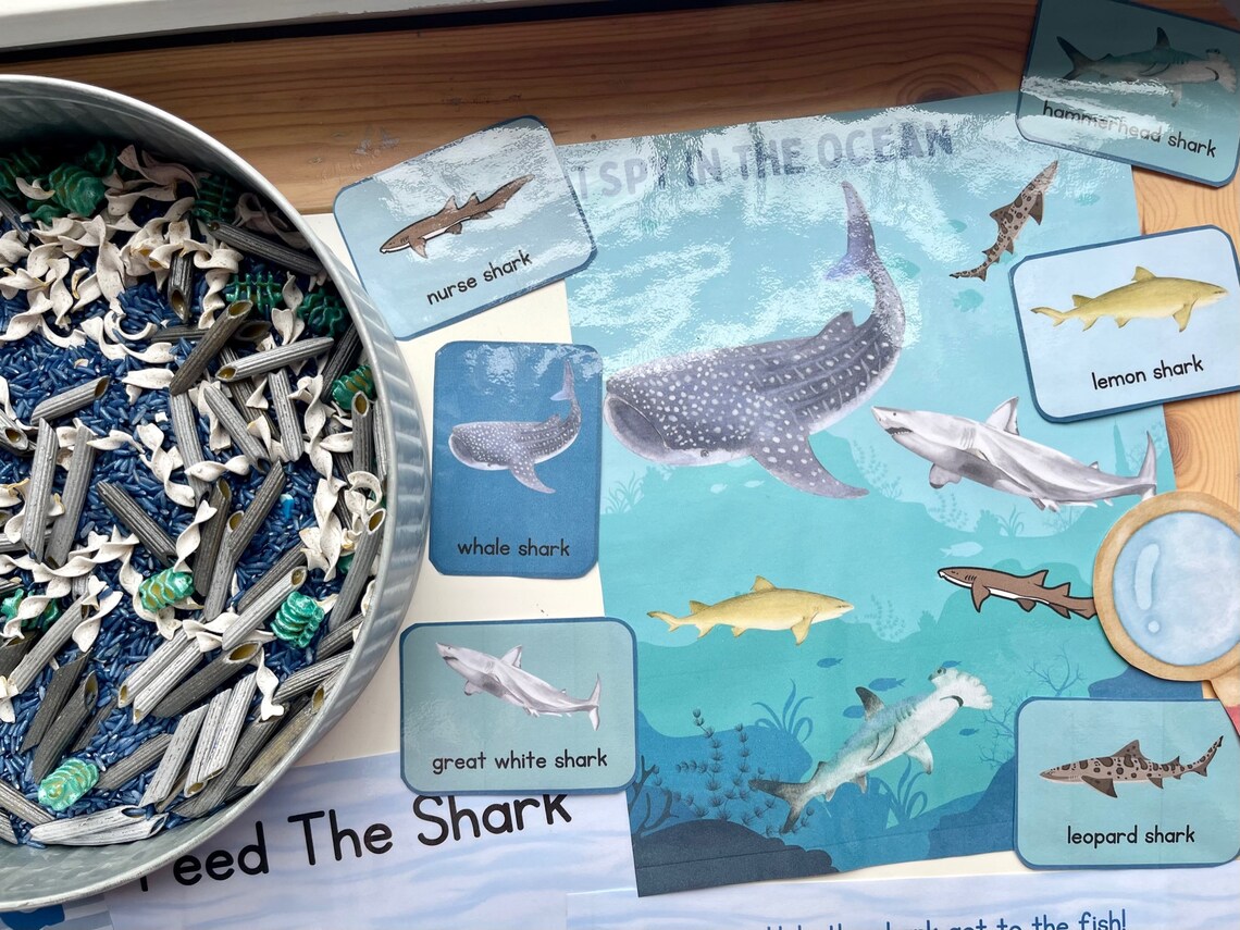Shark Learning Pack, Summer Printables, Preschool Activities for Summer ...