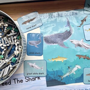 Shark Learning Pack, Summer Printables, Preschool Activities for Summer ...