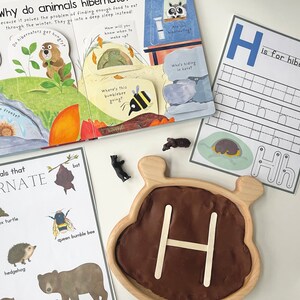 Winter Animals Learning Pack, Preschool Activities, Hibernation Unit ...