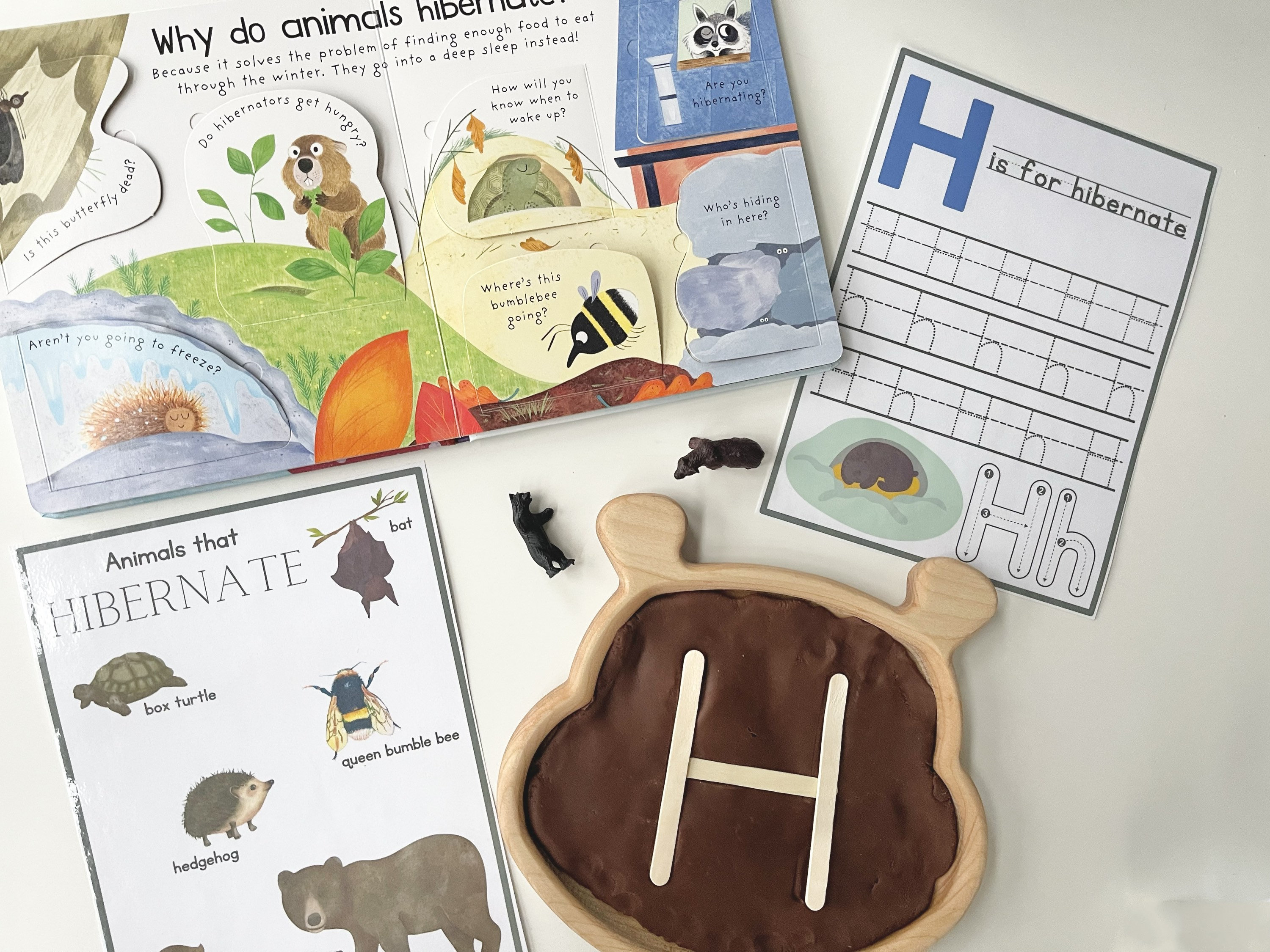 Winter Animals Learning Pack, Preschool Activities, Hibernation Unit ...