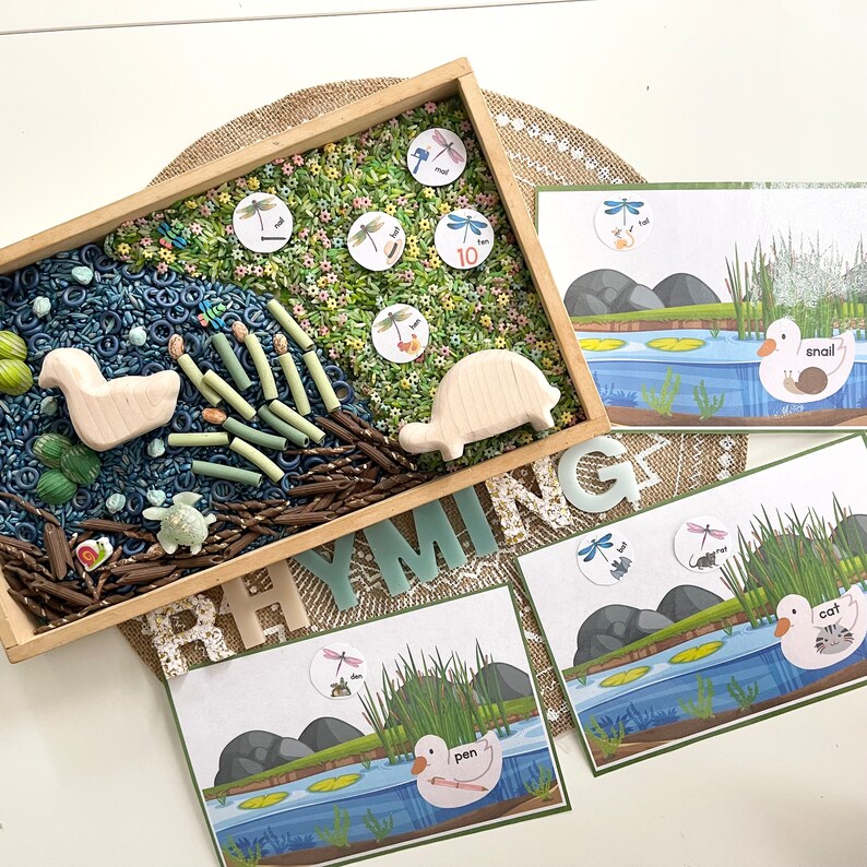 Pond Learning Pack, Preschool Activities, Pond Unit, Montessori ...