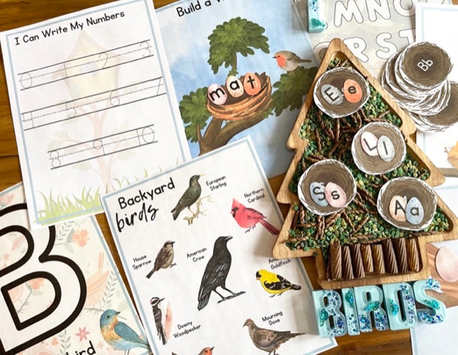 Bird Learning Pack, Preschool Activities, Spring Preschool, Bird Unit ...