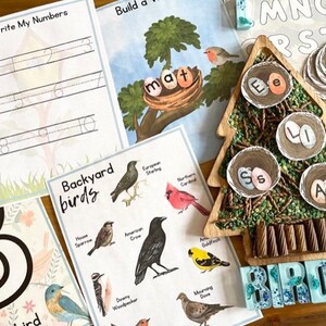 Bird Learning Pack, Preschool Activities, Spring Preschool, Bird Unit ...