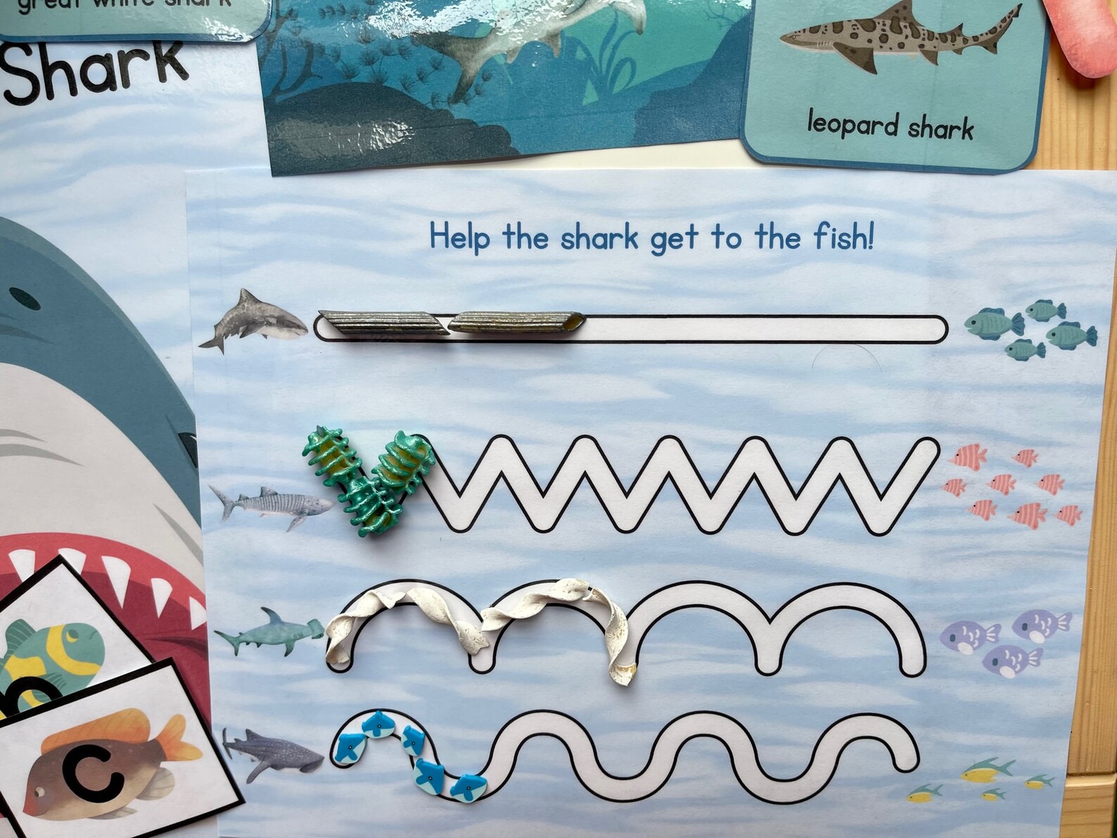 Shark Learning Pack, Summer Printables, Preschool Activities for Summer ...