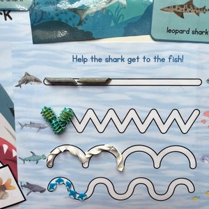 Shark Learning Pack, Summer Printables, Preschool Activities for Summer ...