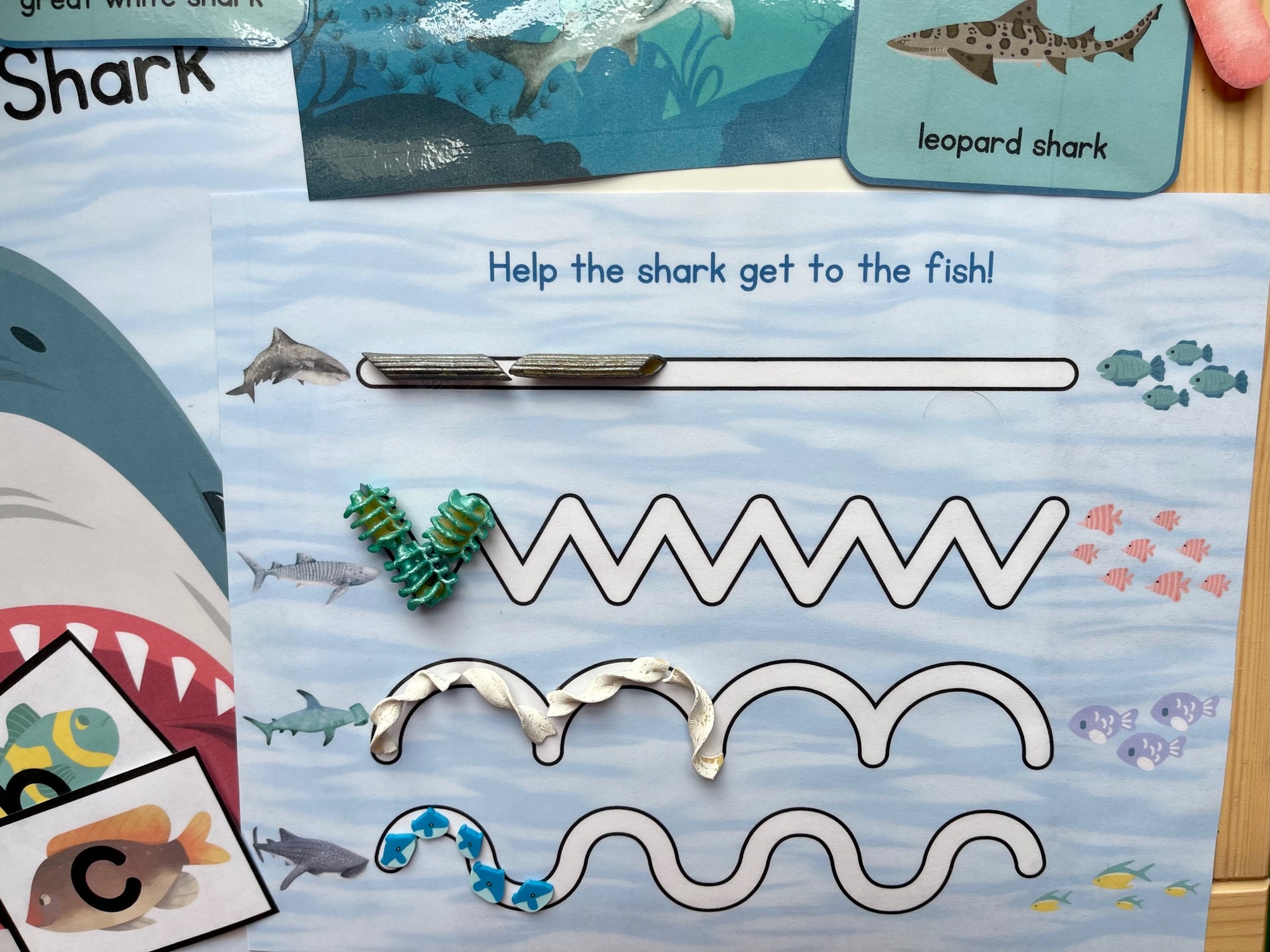 Shark Learning Pack, Summer Printables, Preschool Activities for Summer ...