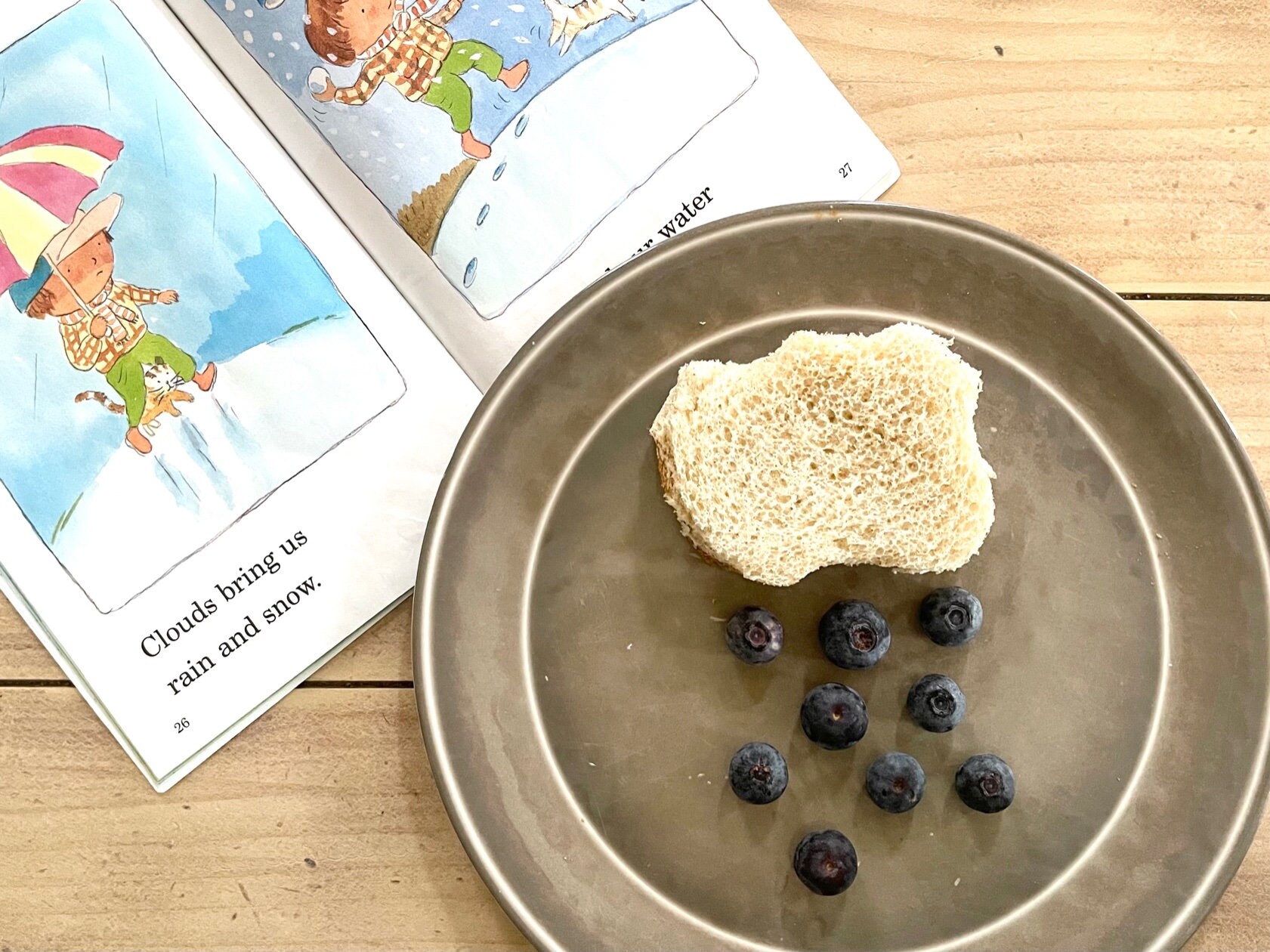 Weather Bundle, Spring Preschool Printables, Weather Montessori ...