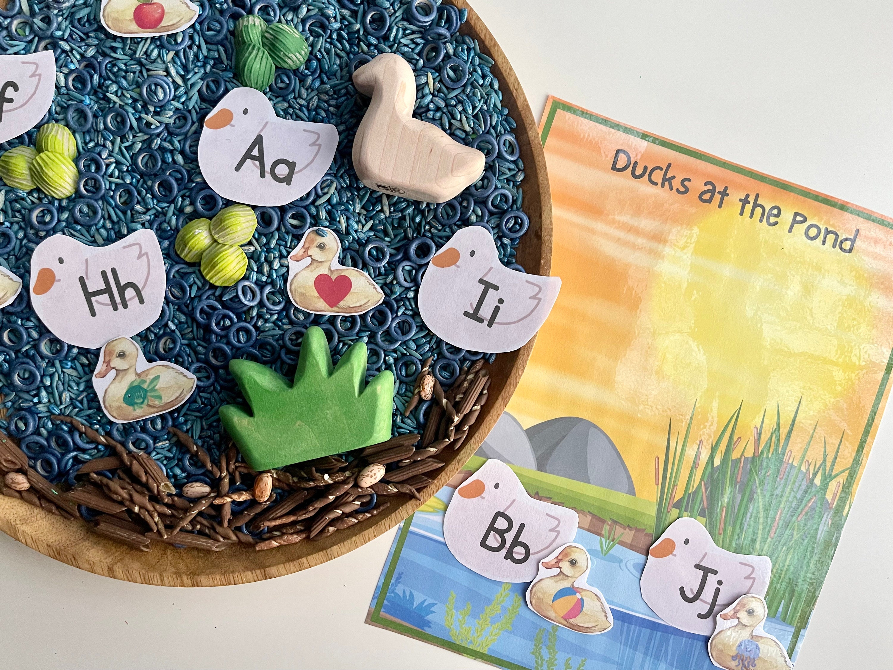 Pond Learning Pack, Preschool Activities, Pond Unit, Montessori ...