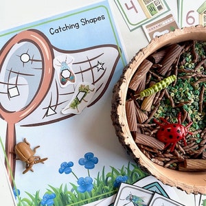 Insect PRESCHOOL Learning Pack, Spring Preschool Activities, Homeschool ...