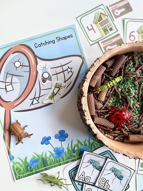 Insect PRESCHOOL Learning Pack, Spring Preschool Activities, Homeschool ...