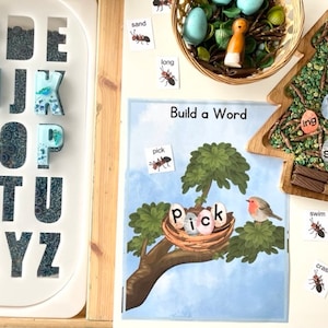 Bird Learning Pack, Preschool Activities, Spring Preschool, Bird Unit ...