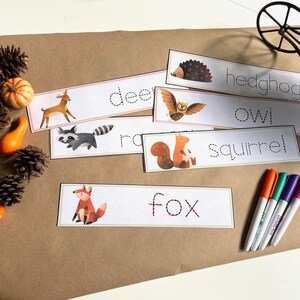 Forest Friends Preschool Learning Pack, Alphabet Activities, Montessori ...