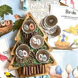 Bird Learning Pack, Preschool Activities, Spring Preschool, Bird Unit ...