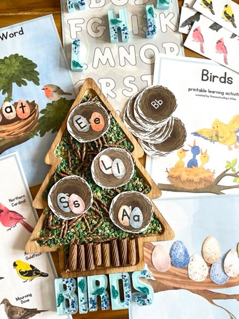 Bird Learning Pack Preschool Activities Spring Preschool - Etsy
