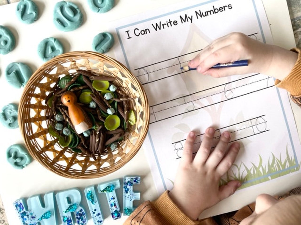 Bird Learning Pack, Preschool Activities, Spring Preschool, Bird Unit ...