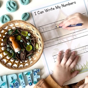 Bird Learning Pack, Preschool Activities, Spring Preschool, Bird Unit ...