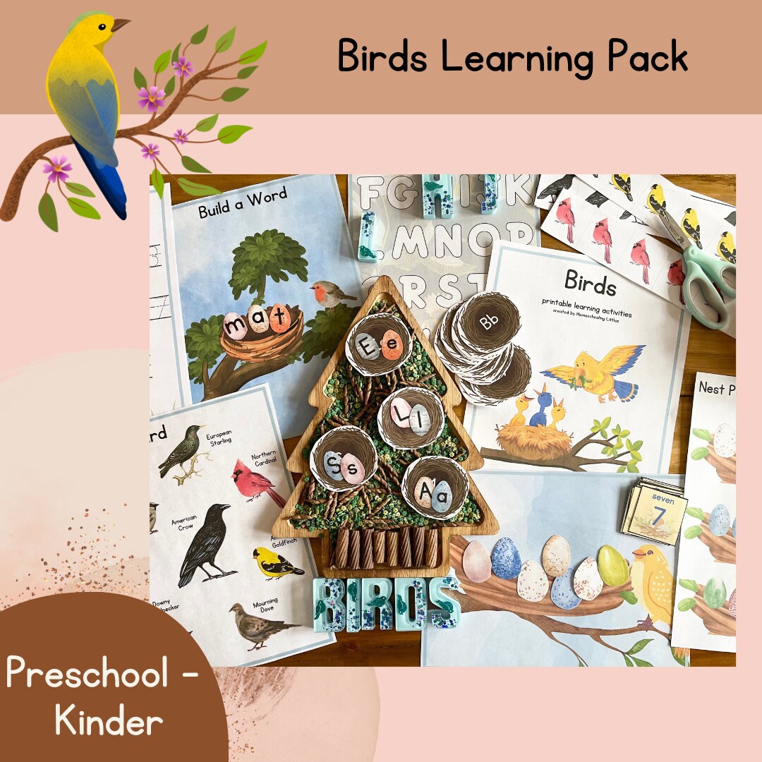 Homeschool Learning Bundle Preschool Printables Montessori - Etsy