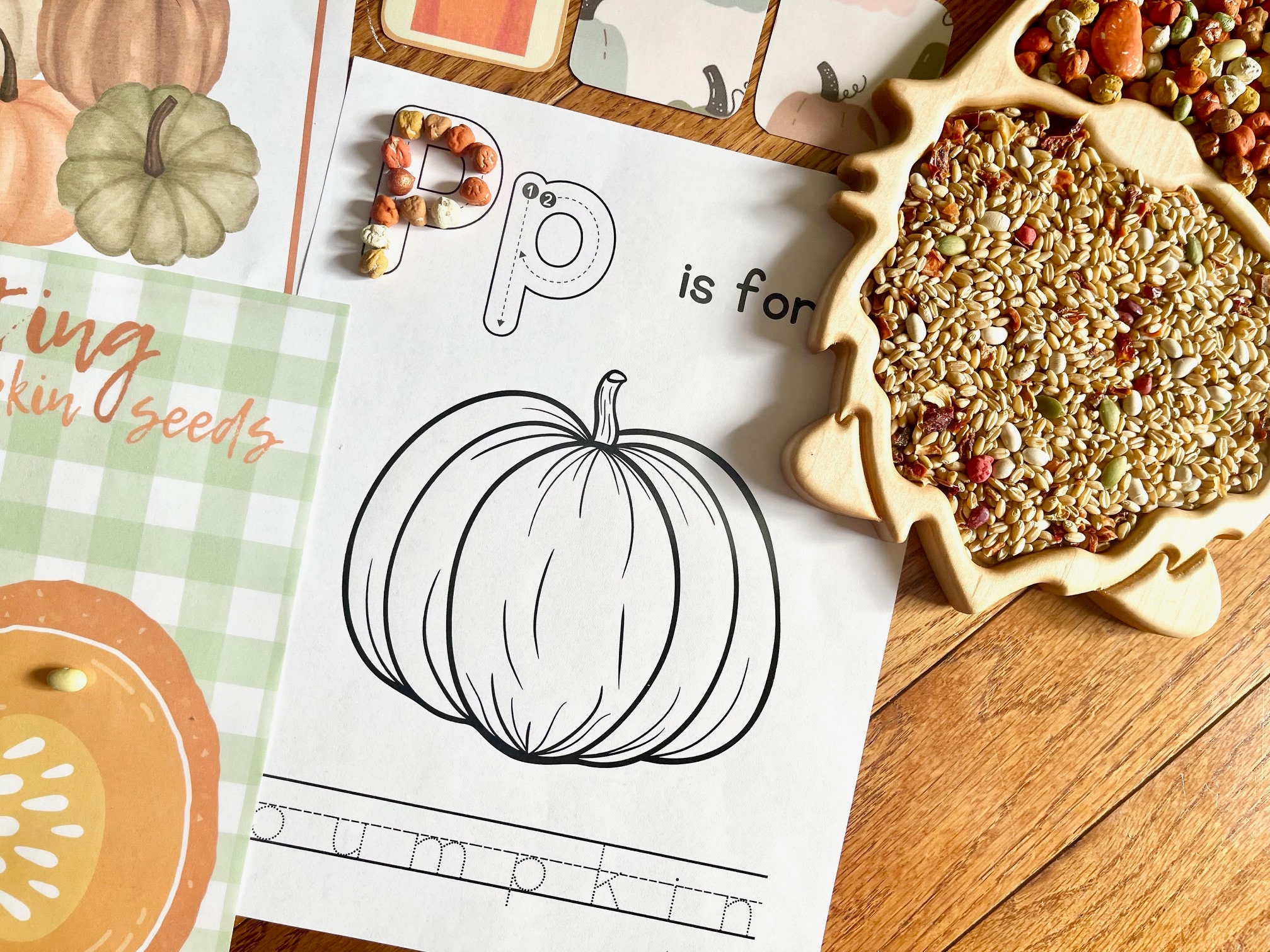 Pumpkin Learning Pack Homeschool Printables Sensory Play - Etsy